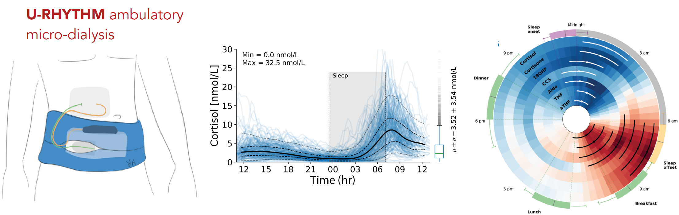 Quantifying Heterogeneity And Variability In Human Daily Rhythms